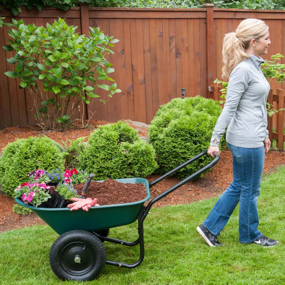 Buy Dual Poly Tray Wheelbarrow Online - Tool Gorilla